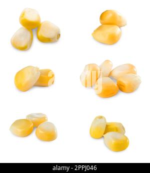 Collage of corn kernels on white background Stock Photo - Alamy