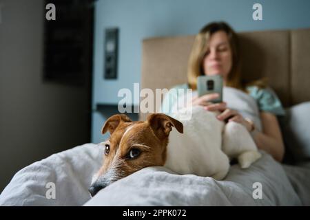 Woman with cute dog chilling in bed at morning and use smartphone, lazy ...
