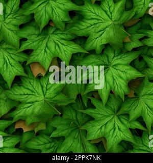 Bitmap texture of maple leaves, tessellation Stock Photo - Alamy