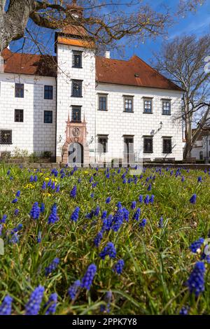 Trebon town, Southern Bohemia, Czech Republic Stock Photo - Alamy