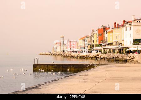 old town Piran - beautiful Slovenian adriatic coast Stock Photo - Alamy