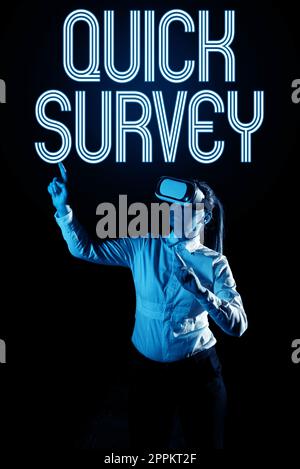 Text sign showing Quick Survey, Concept meaning Conduct fast check on ...
