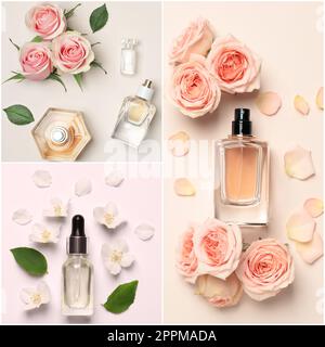 Beautiful collage with photos of luxury perfume and ingredients ...