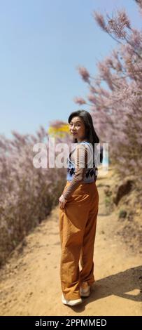 Beautiful Pink Hill Muskwood in Zhongliao, Nantou, Taiwan Stock Photo ...