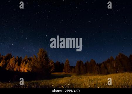 Natural night landscape under starlight Stock Photo - Alamy