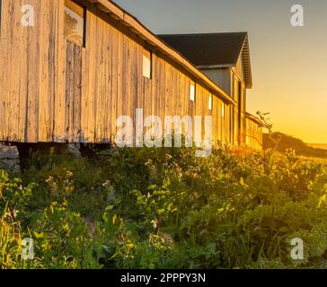 Historic Pierce Point Ranch Point Reyes National Seashore Marin County ...