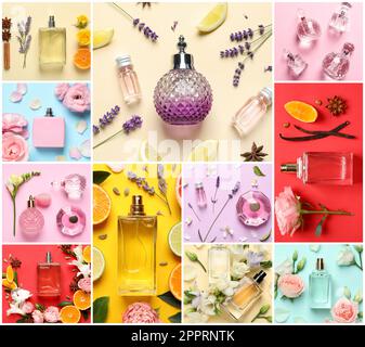 Beautiful collage with photos of luxury perfume and flowers represent ...