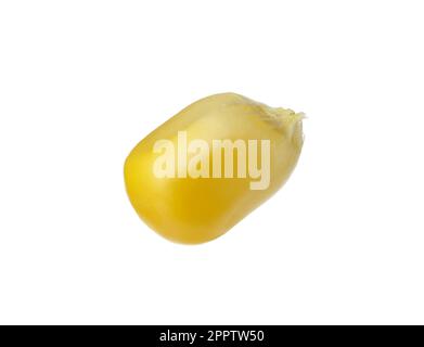 Small fresh corn kernel on white background Stock Photo - Alamy