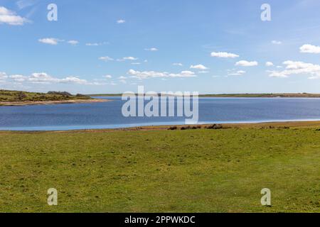 Colliford Lake and Dam, Bodmin Moor Cornwall Stock Photo - Alamy