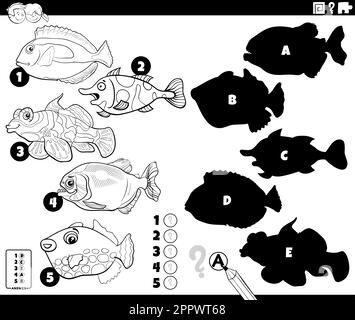 shadows task with fish animals coloring page Stock Vector Image & Art ...