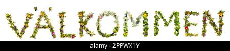 Colorful Flowers Building Word V lkommen, Isolated Background Stock Photo - Alamy