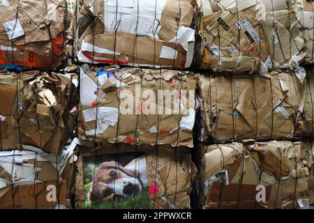 paper carton box garbage as nice recycle background Stock Photo - Alamy