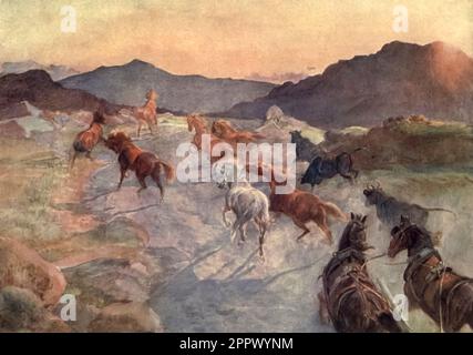 ELIZABETH THOMPSON, Lady Butler (1846-1933) British painter of mainly ...