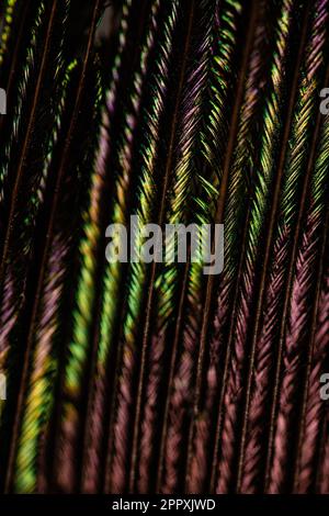 Abstract blurred backdrop with vertical linear pattern shapes and ...