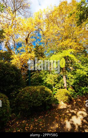 George Tindale Memorial Gardens in Australia Stock Photo - Alamy