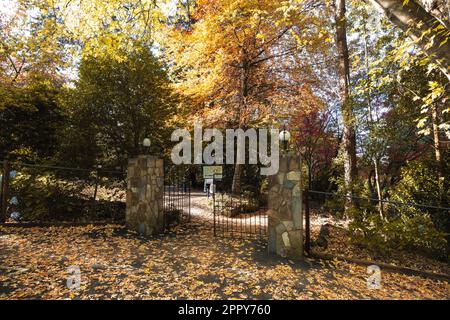 George Tindale Memorial Gardens in Australia Stock Photo - Alamy