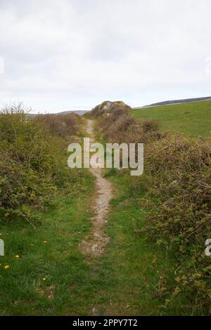 famine relief road or famine road near Fanore in the burren county ...