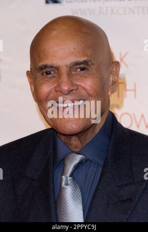 Robert F. Kennedy Center For Justice And Human Rights 2013 Ripple Of ...