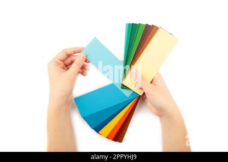 Colors range palette on hand isolated on white background. Top view ...