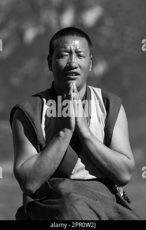Tibet, Kham, Litang. Litang Monastery. Buddhist monks Stock Photo - Alamy