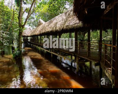 Glamping accommodation in the Amazon rainforest. Wooden treehouse ...