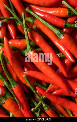 Spicy Organic Red Thai Birds Eye Chilli Peppers in a Bowl Stock Photo ...