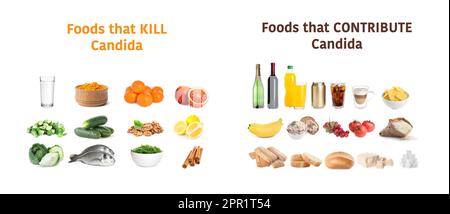 List of foods that kill and contribute Candida on white background ...