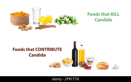 List of foods that kill and contribute Candida on grey background Stock ...