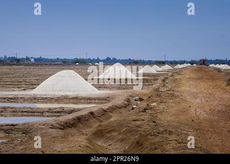 Harvesting salt from drying sea water brine in pits using sunlight ...
