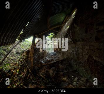 An abandoned, weathered shack with corrugated iron and wooden doors ...