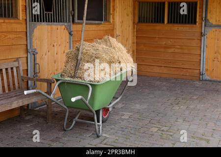 Wheelbarrow with hay near wooden stable outdoors Stock Photo - Alamy