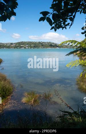 Pauatahanui Inlet, Porirua, North Island, New Zealand Stock Photo - Alamy