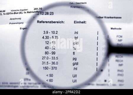 result of a blood test, haemogram, view with a loupe, reference area ...
