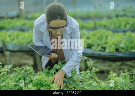 To assess the efficiency of modern greenhouse farming management ...