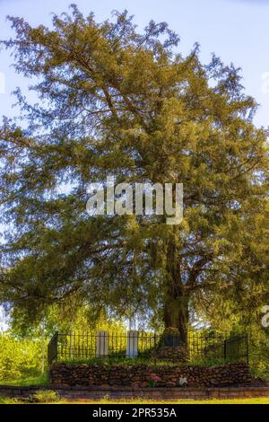 Benton, Tennessee, USA - April 18, 2023: Nanyah Beloved Woman and ...