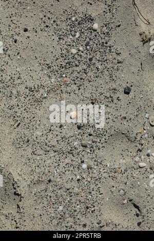 Shells close up elafonisi beach crete island covid-19 season holidays ...