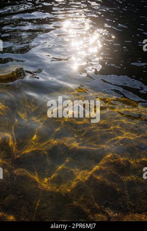 Transparent pure golden water in river Stock Photo - Alamy