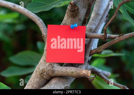 Blank paper letter with plant branch, copy space Stock Photo - Alamy