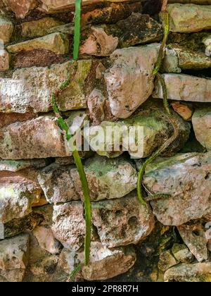 Texture pattern of Tulum ruins Mayan site temple pyramids Mexico Stock ...