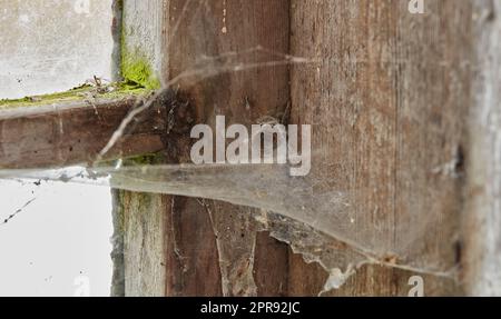 An Old Dusty Spider Web Stock Photo - Alamy
