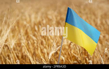 Small national flag of the Ukraine on a black background Stock Photo ...