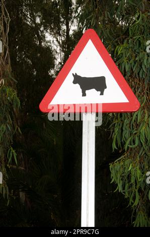 Cattle crossing traffic signal Stock Photo - Alamy