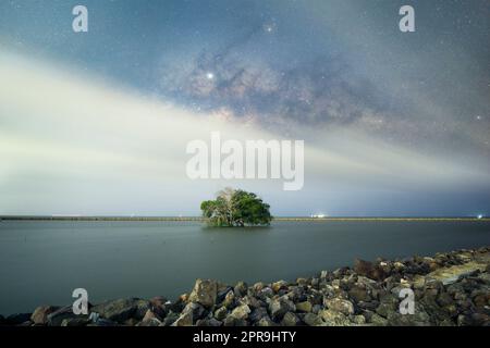 Signs, signs, beware of curves at night, behind the sign, with the ...