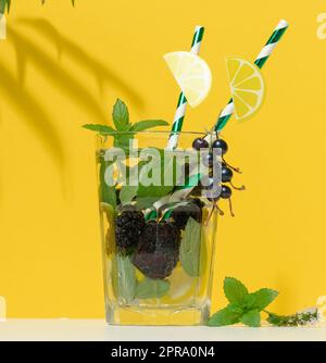 Transparent glass with lemonade, mint leaves, lemon slices and ...