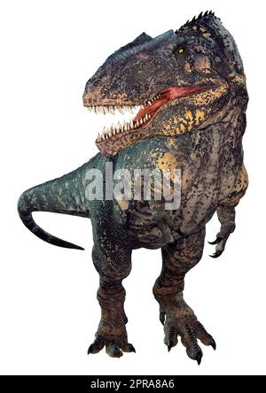 3D rendering of a dinosaur gigantosaurus isolated on white background Stock Photo - Alamy