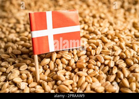 Grains wheat with UAE united arab emirates flag, trade export and ...