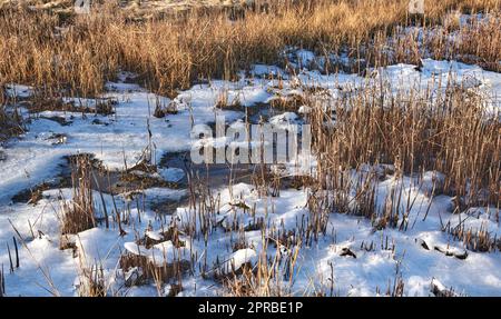 Danish Winter landscape by the coast of Kattegat. Photos of Danish ...