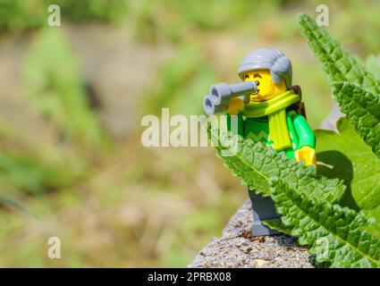 A Lego minifigure looking at a bird Stock Photo - Alamy