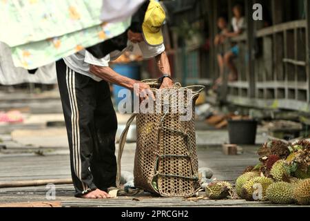 A man unloading freshly harvested durian fruits out of his rattan bag ...
