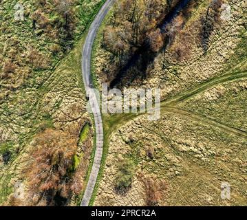 path made of concrete slabs in the dunes Stock Photo - Alamy